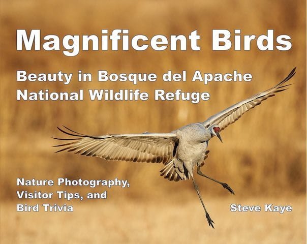Books by Steve Kaye, Poetry, Photos, Business, Success