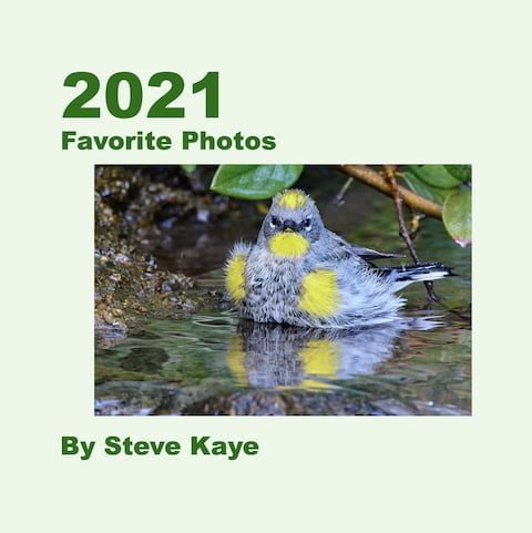 Books by Steve Kaye, Poetry, Photos, Business, Success